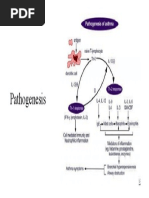 Pathophysiology of OME | PDF