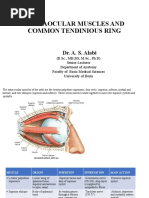 Extraocular Muscles & Ocular Motility Guide | PDF | Anatomical Terms Of ...