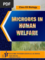 NEET Botany Zoology Chapters | PDF