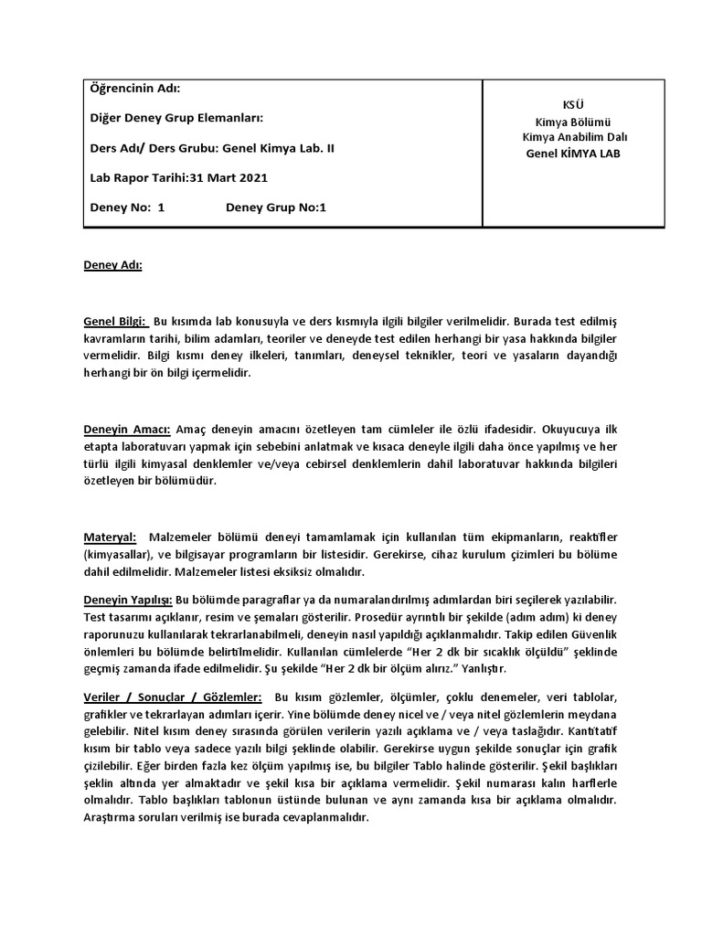 Lab Rapor Ornegi | PDF