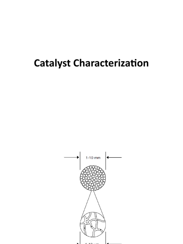 Catalyst Characterization - W6 | PDF | Adsorption | Catalysis