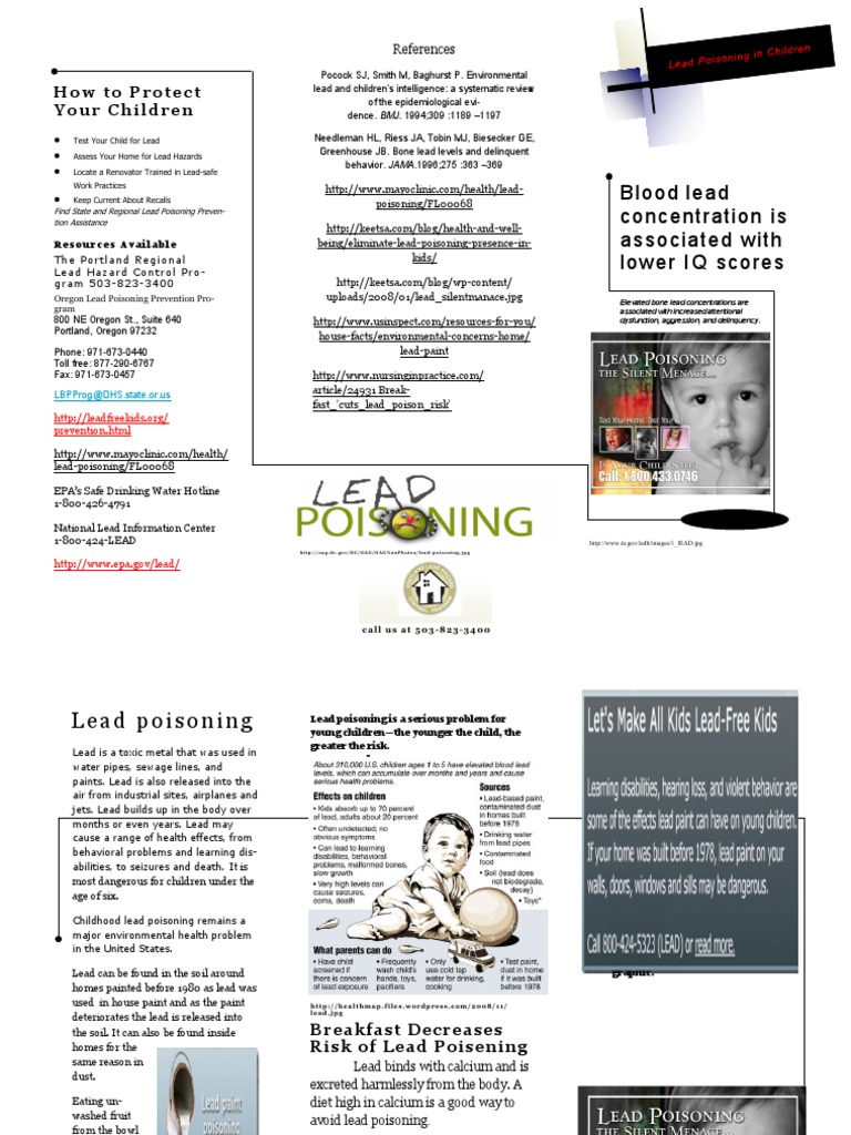 Nrs 434-B - Lead Poisening Brochure | PDF | Lead | Pollution