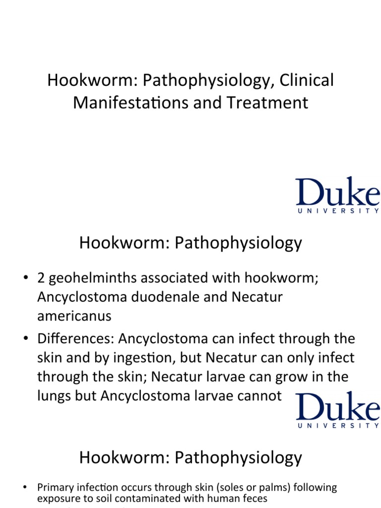 Hookworm: Pathophysiology, Clinical Manifesta:ons and Treatment | PDF ...