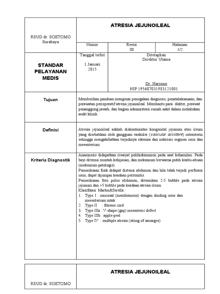 SPM Atresia Jejunoileal | PDF
