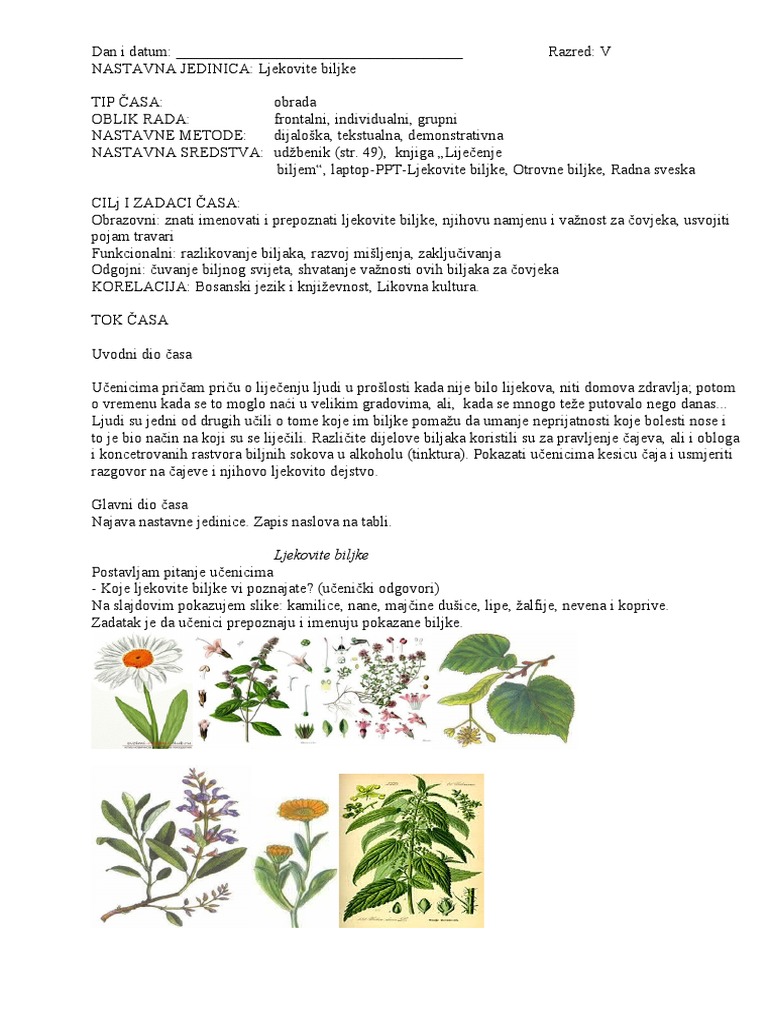 Ljekovite Biljke-Priprema | PDF