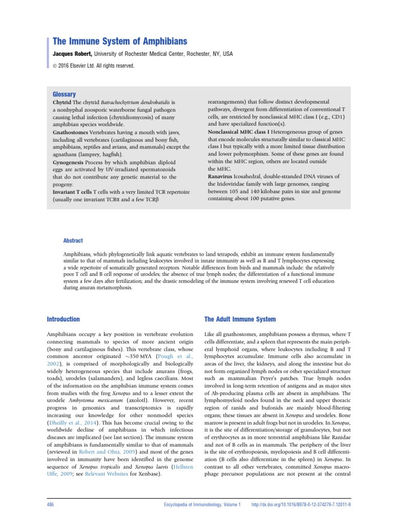 Frog Immune System Overview | PDF | T Cell | Major Histocompatibility ...