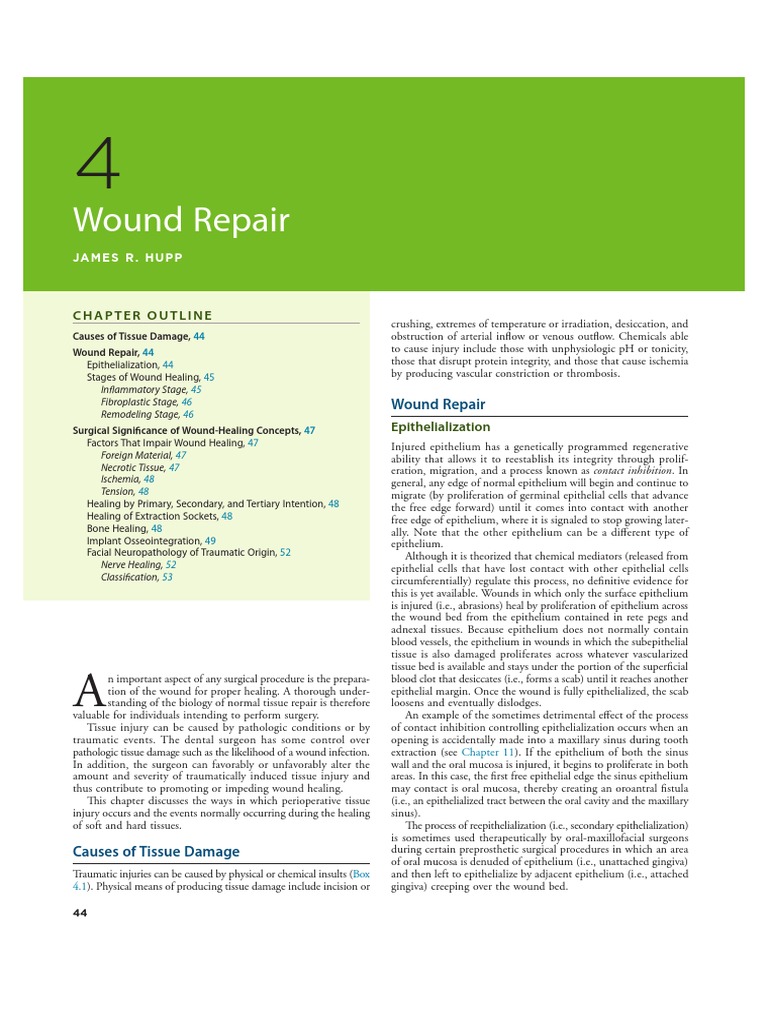 Wound Repair: Chapter Outline | PDF | Wound Healing | Bone
