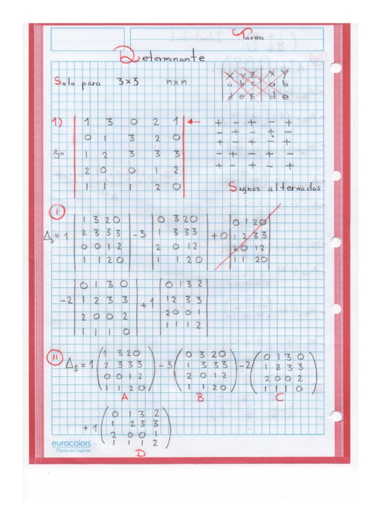 Determinante de Una Matriz 5x5 Ejercicio 1 | PDF