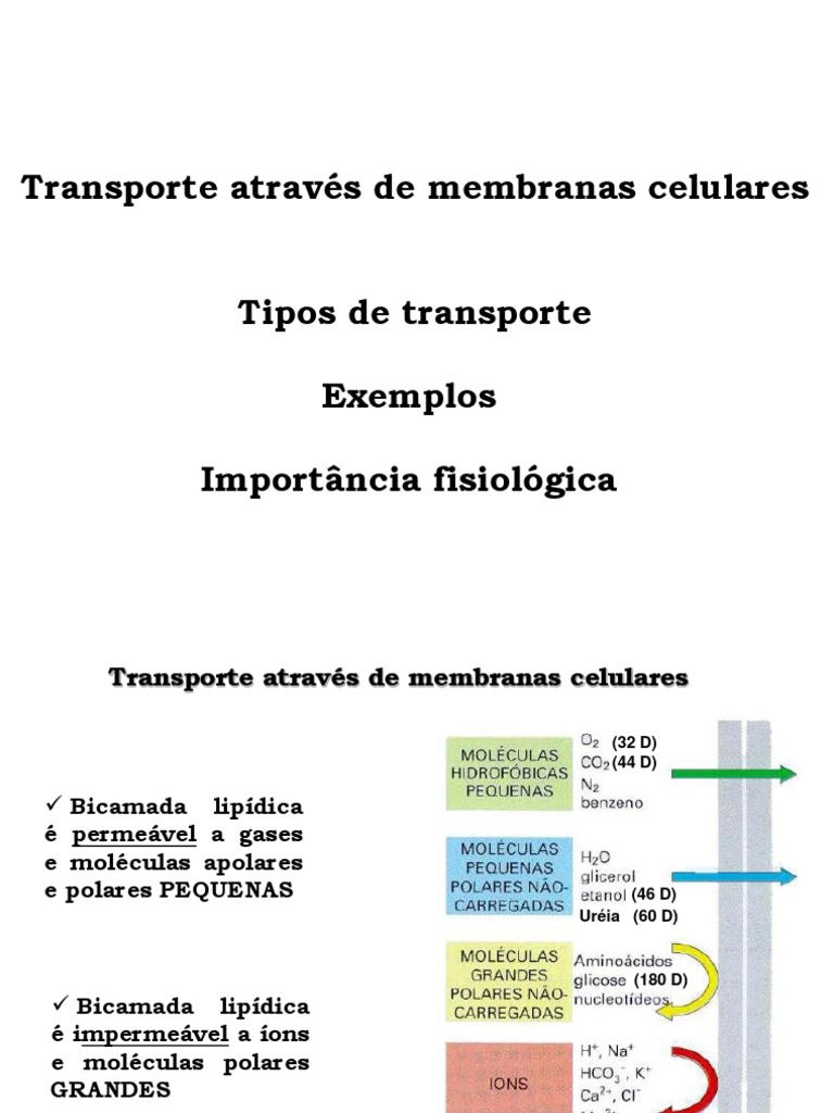 Transporte transmembrana: mecanismos e importância fisiológica | PDF ...
