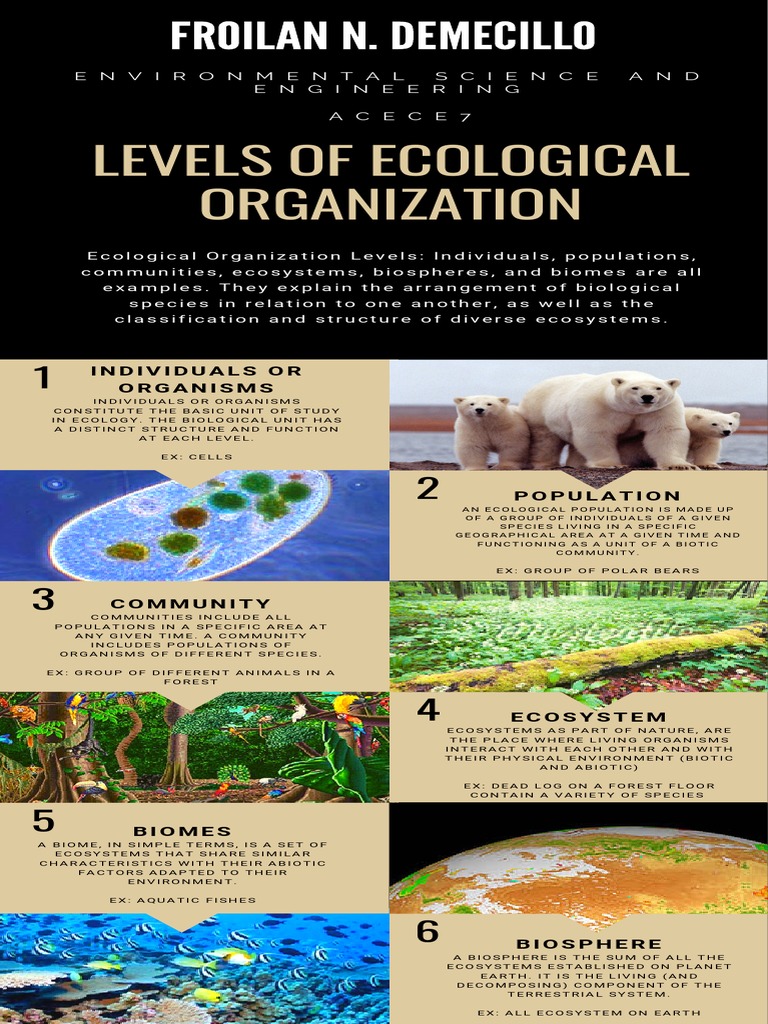 Levels of Ecological Organization | PDF | Ecology | Environmental Science