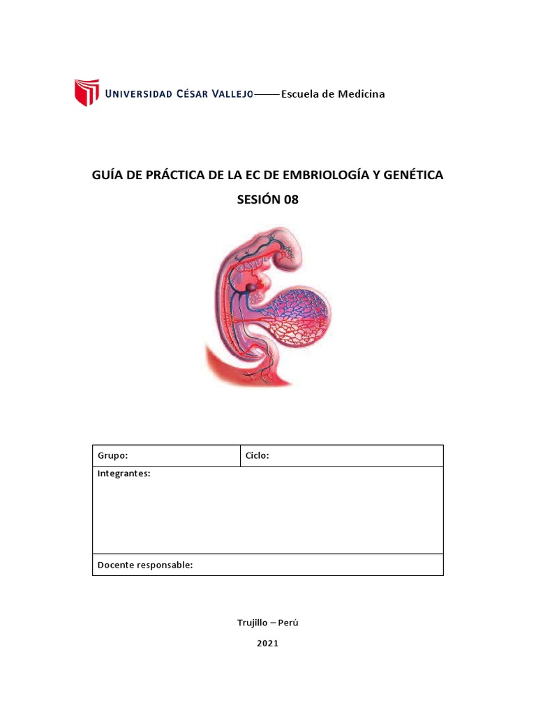 Guía Pract 8va Sesión | PDF | Corazón | Sistema circulatorio