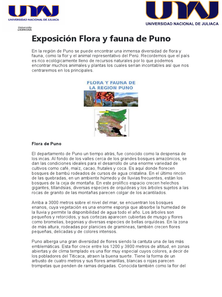 Exposición Flora y Fauna de Puno Comunicacion | PDF