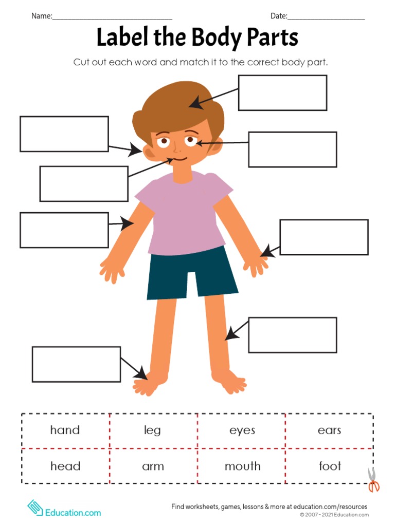 Label The Body Parts: Cut Out Each Word and Match It To The Correct ...