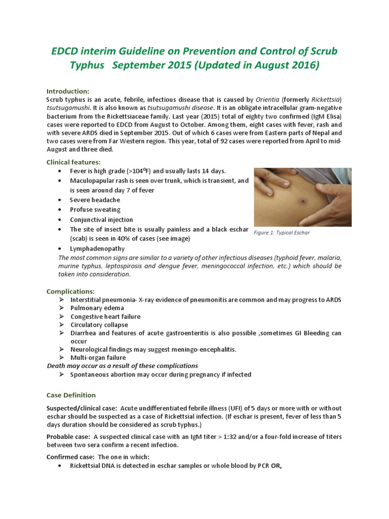 Scrub Typhus Prevention and Management Guide | PDF | Epidemiology ...