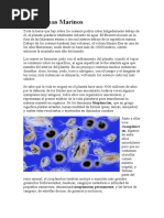 Poema Patria de Ricardo Miró | PDF