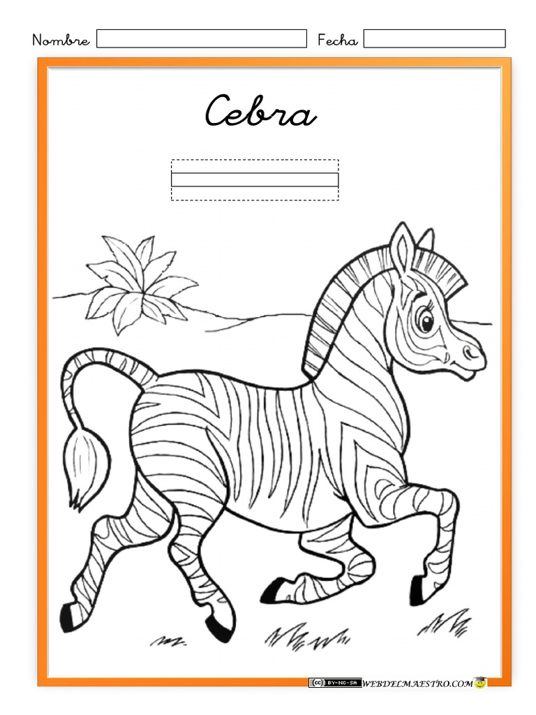 Cebra | PDF