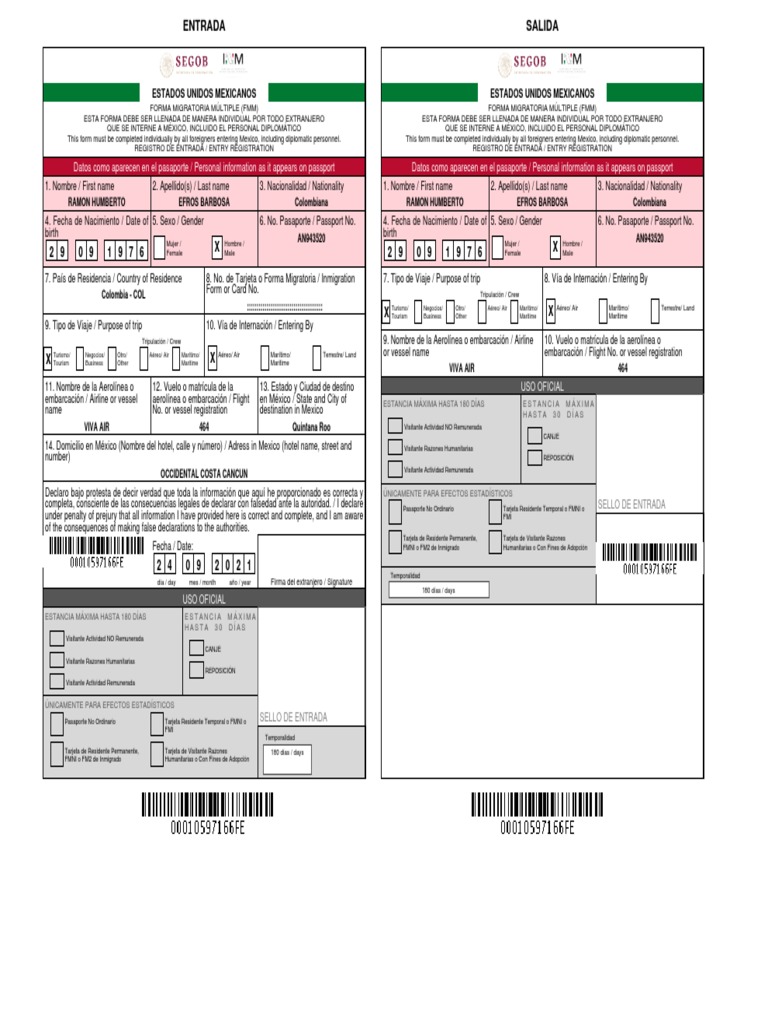 Forma Migratoria 00010597166FE | PDF | Visa de viaje | Gobierno y ...