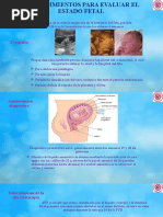 Brandt Andrews | PDF | Partería | Parto