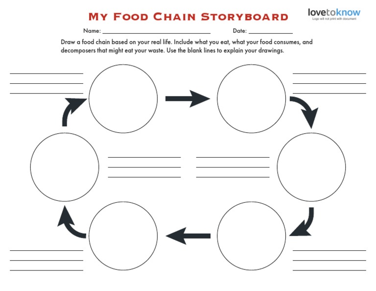 4434 My Food Chain Storyboard | PDF