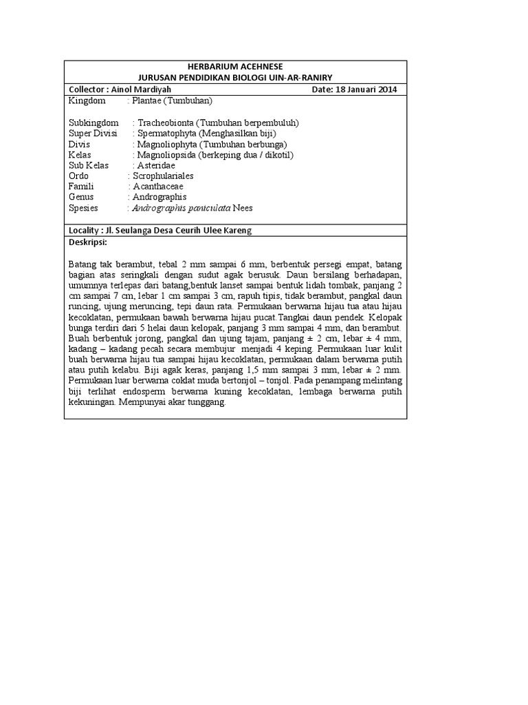 Herbarium Andrographis Paniculata Aceh | PDF | Sains & Matematika