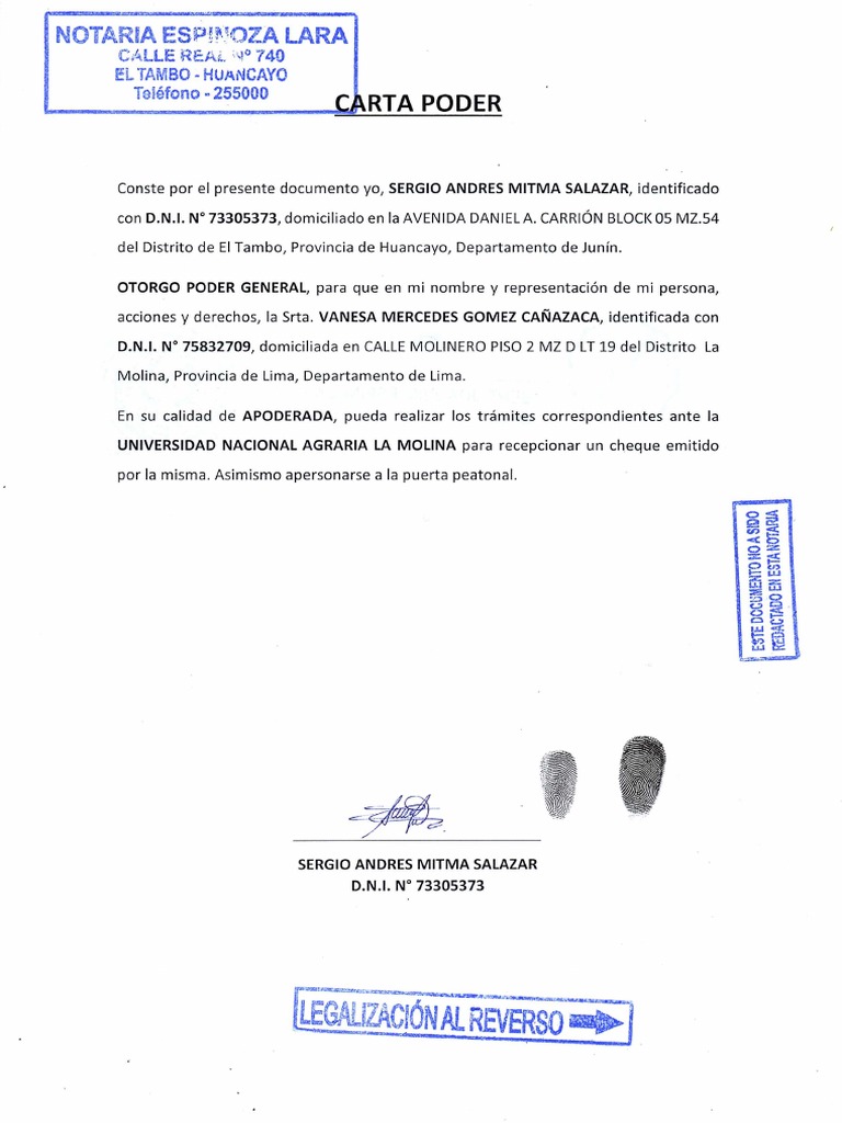 Carta Poder - Legalizada | PDF