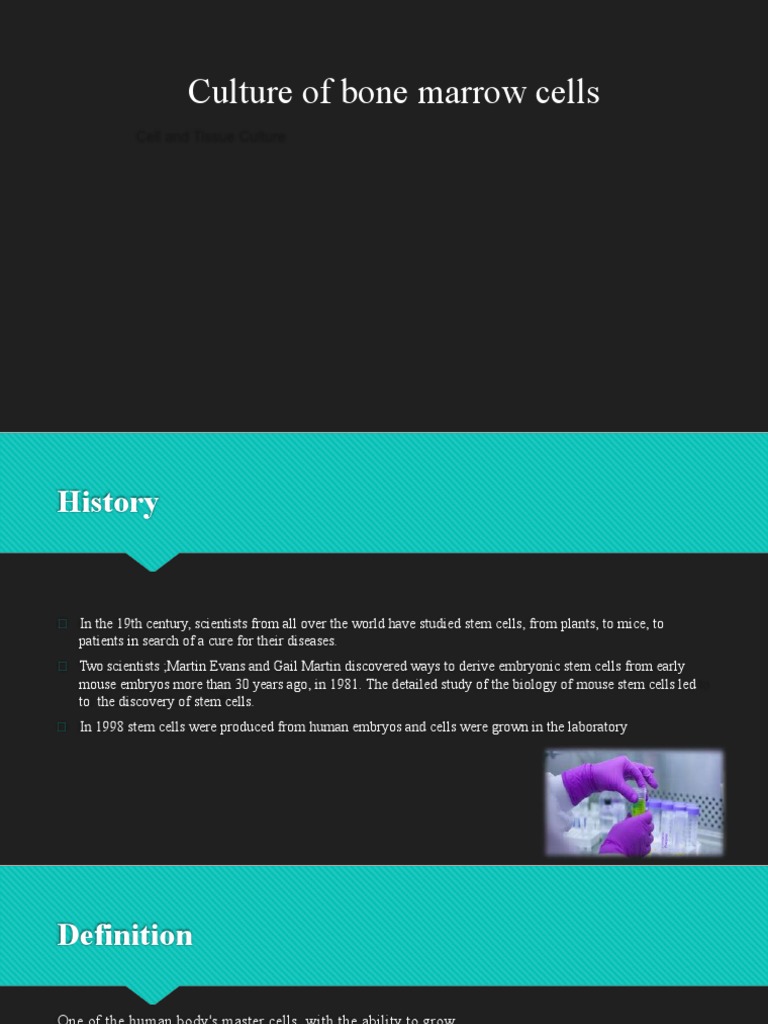 Culture of Bone Marrow Cells | PDF | Cell Potency | Stem Cell