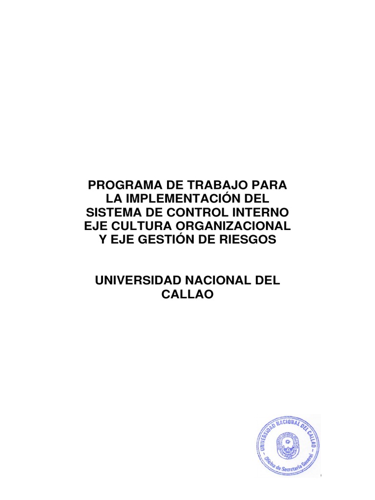 899-19-R Programa Trabajo Implementacion Sci Unac | PDF | Presupuesto ... 899-19-R Programa Trabajo Implementacion Sci Unac | PDF | Presupuesto ...