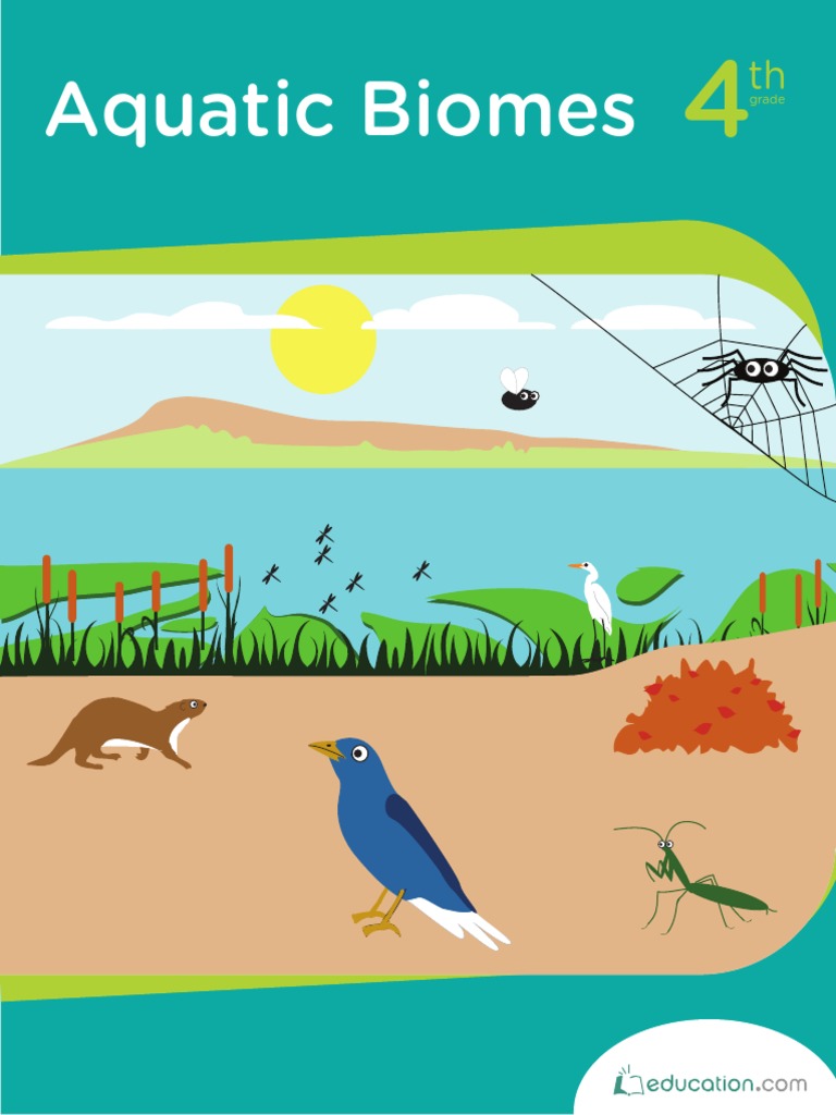 Aquatic Biomes Workbook | PDF | Everglades | Wetland
