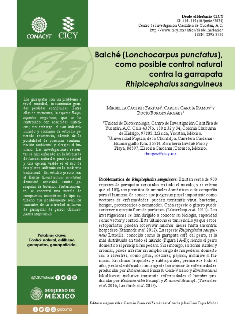 Balche | PDF | Biología | Organismos