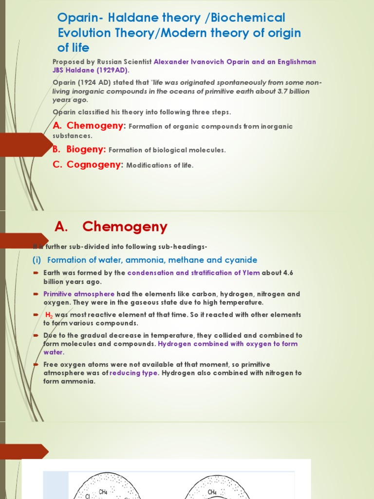 Oparin - Haldane Theory and Miller - Urey Experiment | PDF | Cell ...