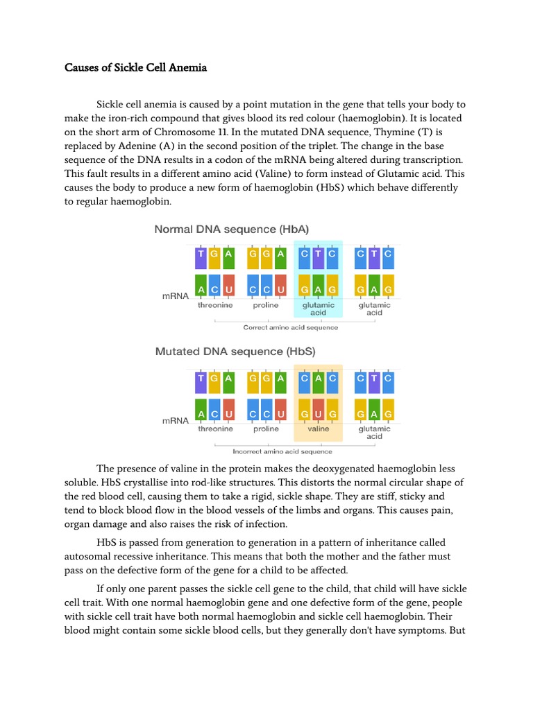 Sickle Cell Anemia | PDF | Gene | Medical Specialties