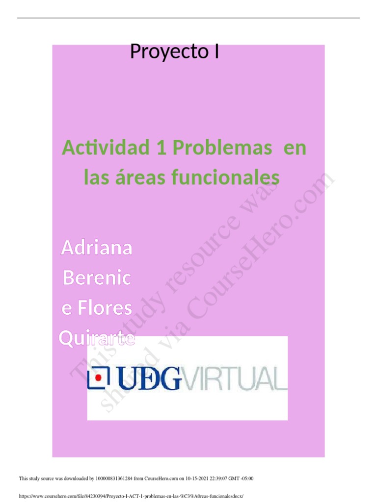 Proyecto I ACT 1 Problemas en Las Reas Funcionales | PDF | Gestión de recursos humanos | Business