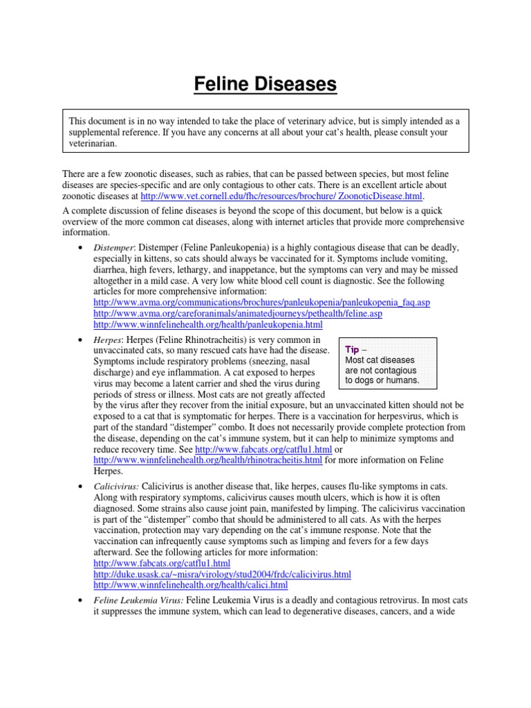 Overview of Common Feline Diseases | PDF