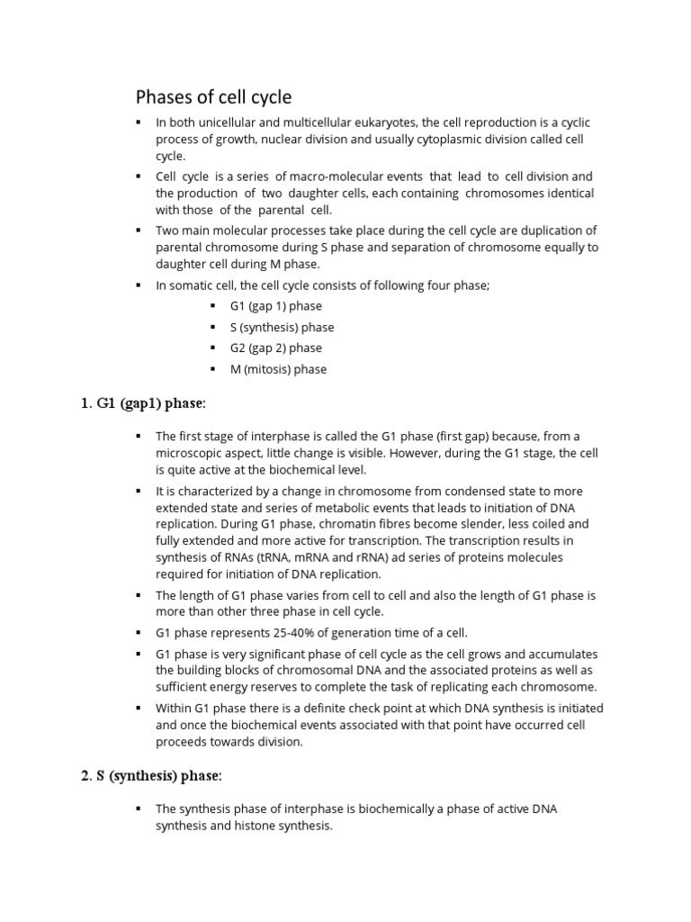 Phases of Cell Cycle: 1. G1 (Gap1) Phase | PDF | Mitosis | Cell Cycle