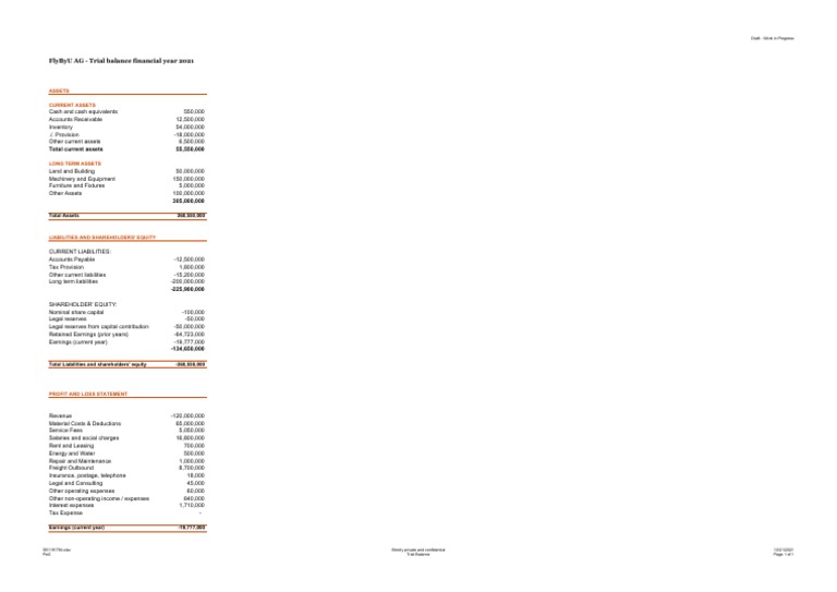FlyByU AG Balance Sheet and Profit and Loss Statement | PDF | Expense | Equity (Finance)