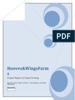 Road Runner Chicken Farming in Zimbabwe | PDF | Chicken | Egg