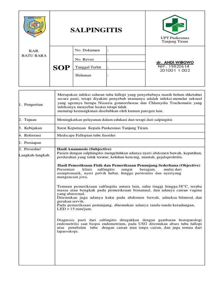 Salpingitis Pdf