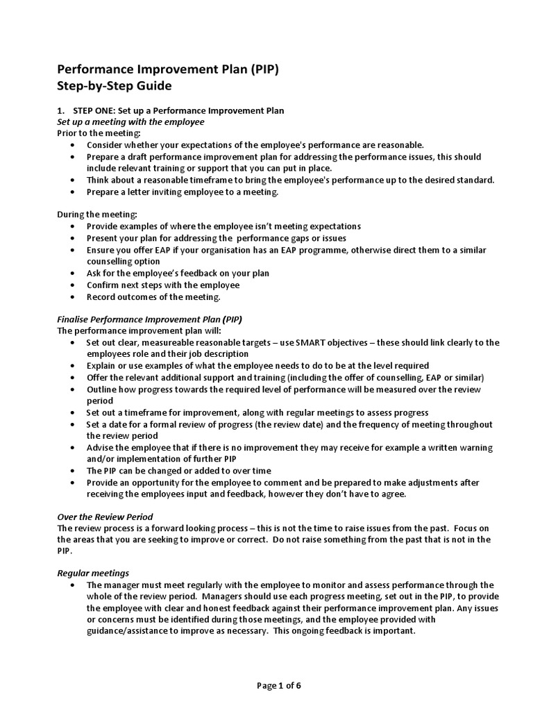 Performance Improvement Plan (PIP) Step-by-Step Guide | PDF ...