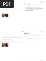 Peasants Quest Walkthrough 231-251 | PDF | Gambling