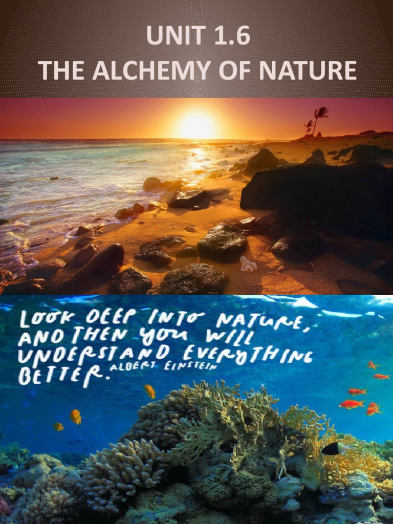 STD X 1.6 The Alchemy of Nature | PDF