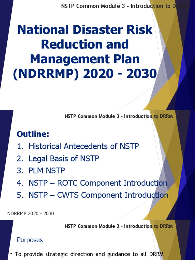 National Disaster Risk Reduction and Management Plan (NDRRMP) 2020 ...