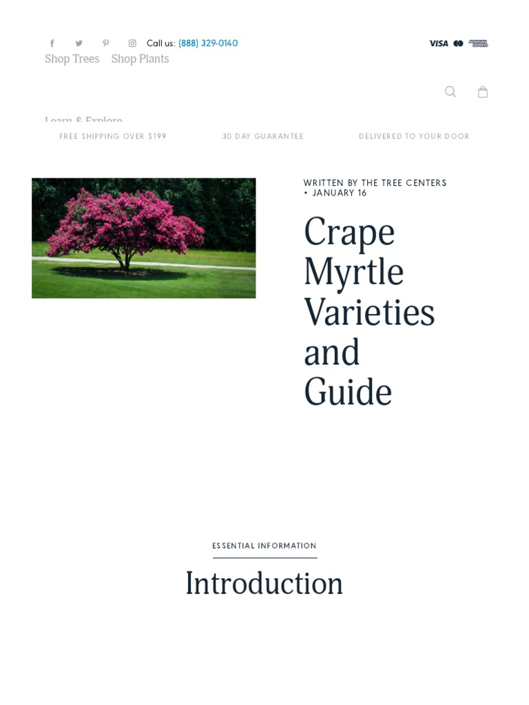 Crape Myrtle Varieties and Guide - The Tree Center™ | PDF ...