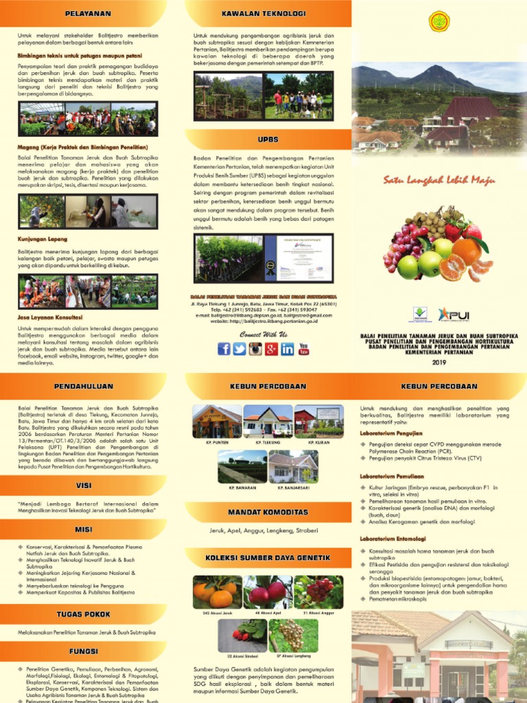 Profil Balitjestro - Balitjestro - BITE2020 | PDF