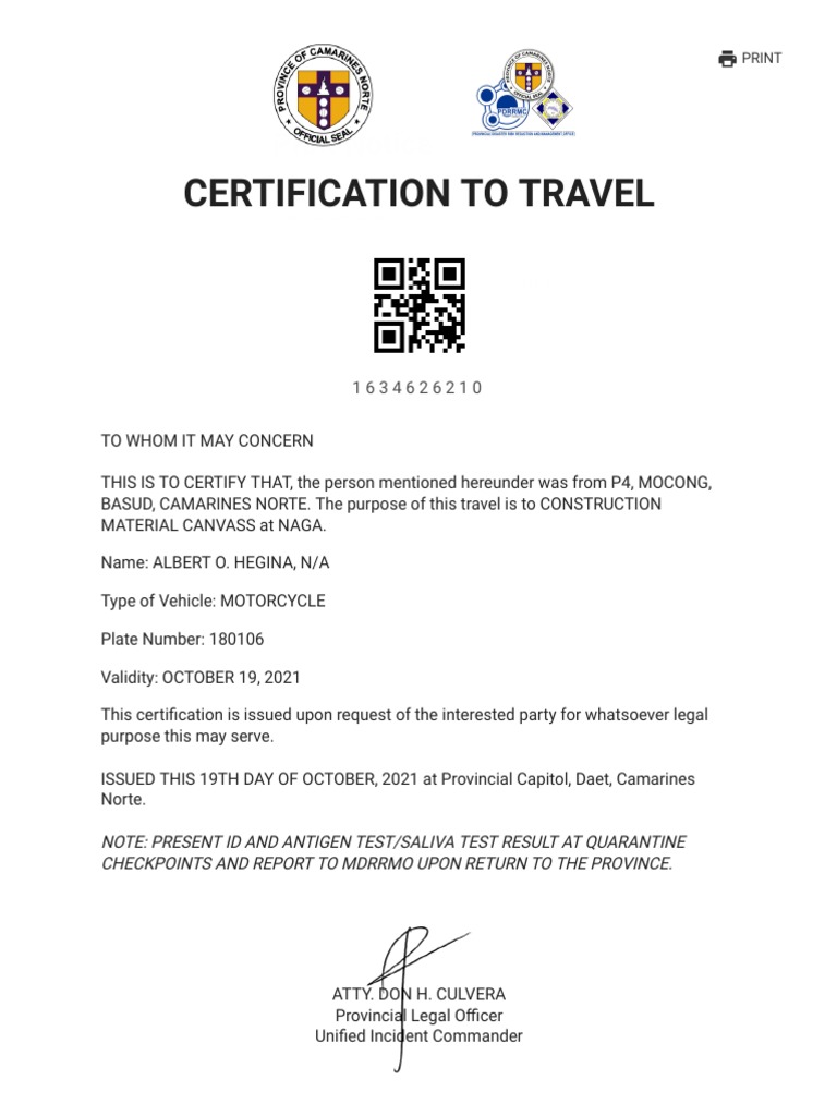 Travel Pass Authority | PDF