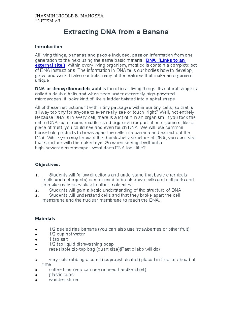 Extracting DNA From A Banana | PDF | Dna | Cell (Biology)