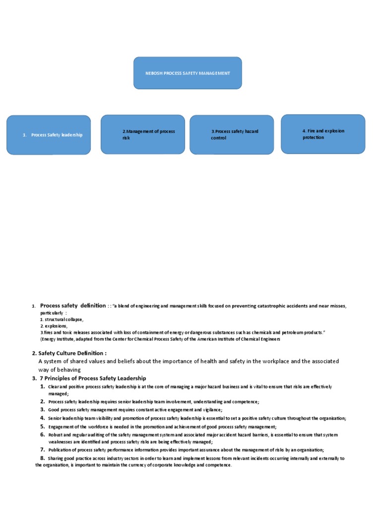 Process Safety Leadership: Key Principles for Managing Major Hazard ...