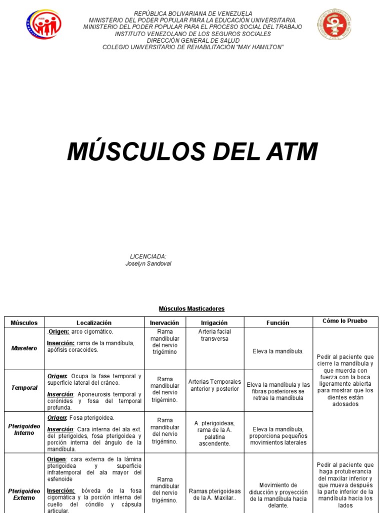 Músculos Del Atm | PDF | Laringe | Cabeza y cuello humanos