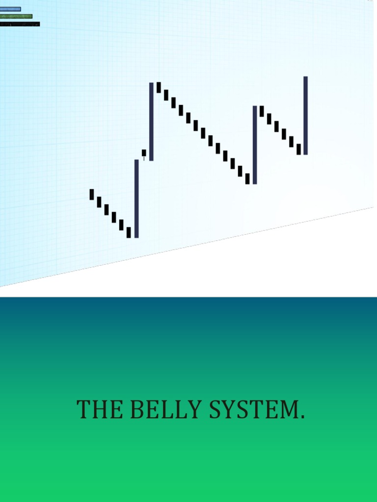 The Belly System User Manual | PDF