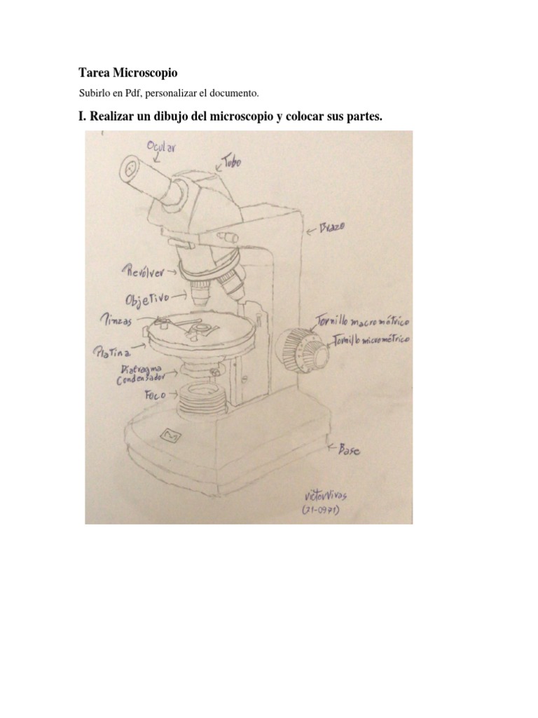 Tarea Microscopio - Victor Vivas (21-0971) | PDF | Microscopio | Óptica