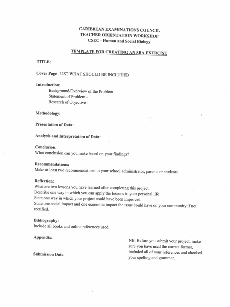 Sba Project Layout | PDF